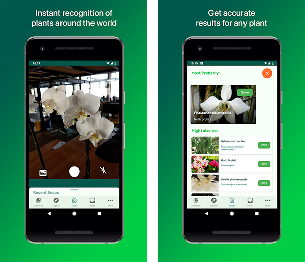 PlantSnap Pro Apkbox PlantSnap Pro Apkbox